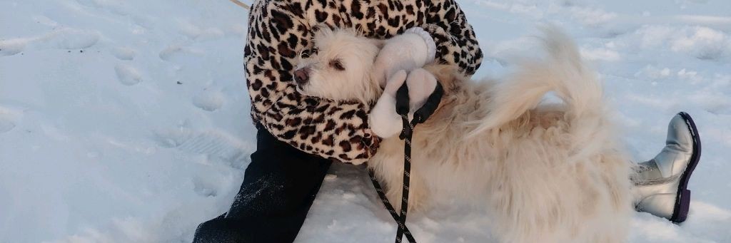 Полина и её жизнь @Polichkus15