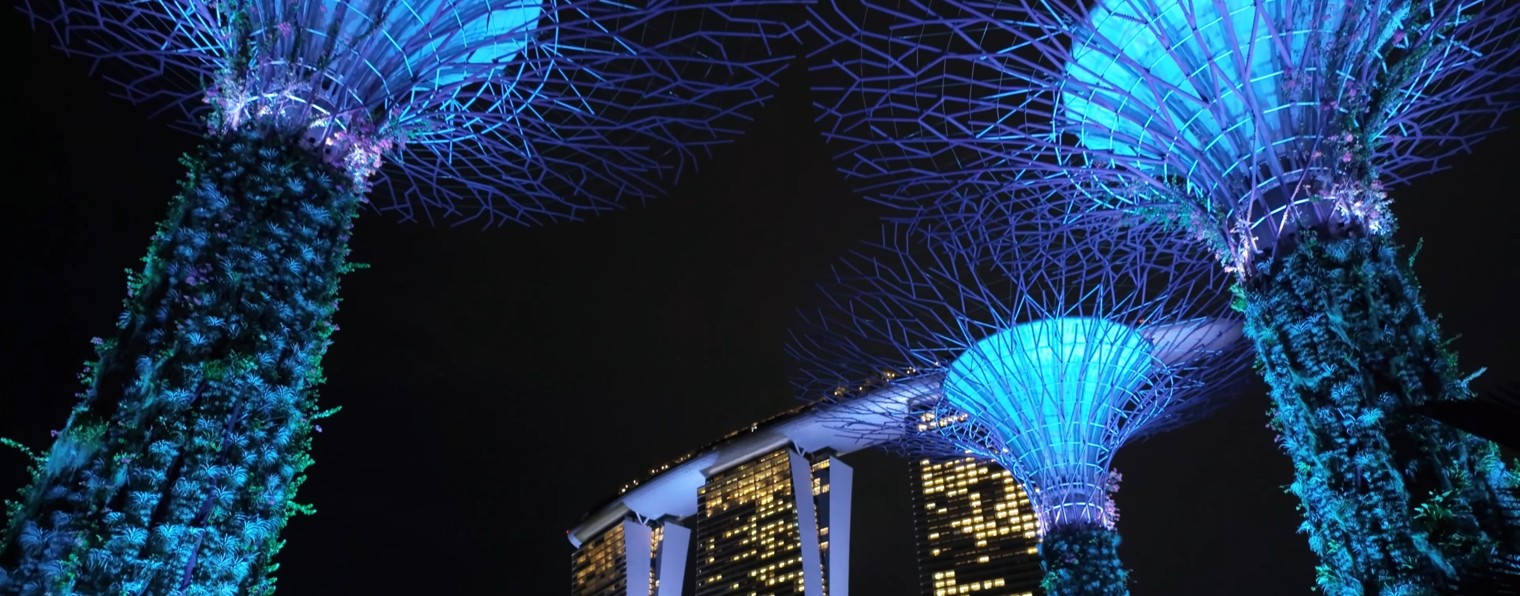 София Синицина