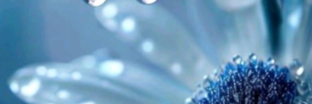 Соня I Love You 🐨