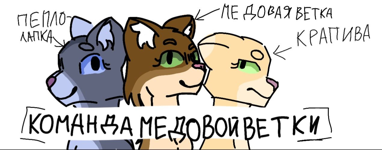 𝓗𝓸𝓷𝓮𝔂 𝓫𝓻𝓪𝓷𝓬𝓱-̾К̾В̾