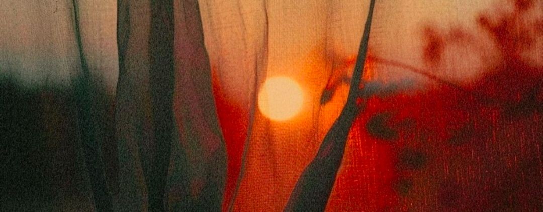 Дарья На Карте