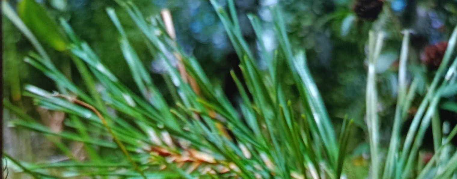 шкатулкаПро