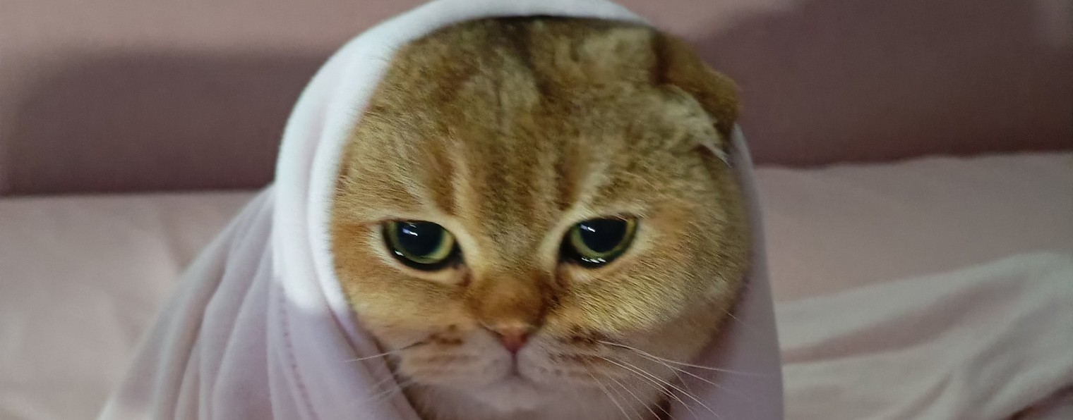 Елизавета и Оссириус