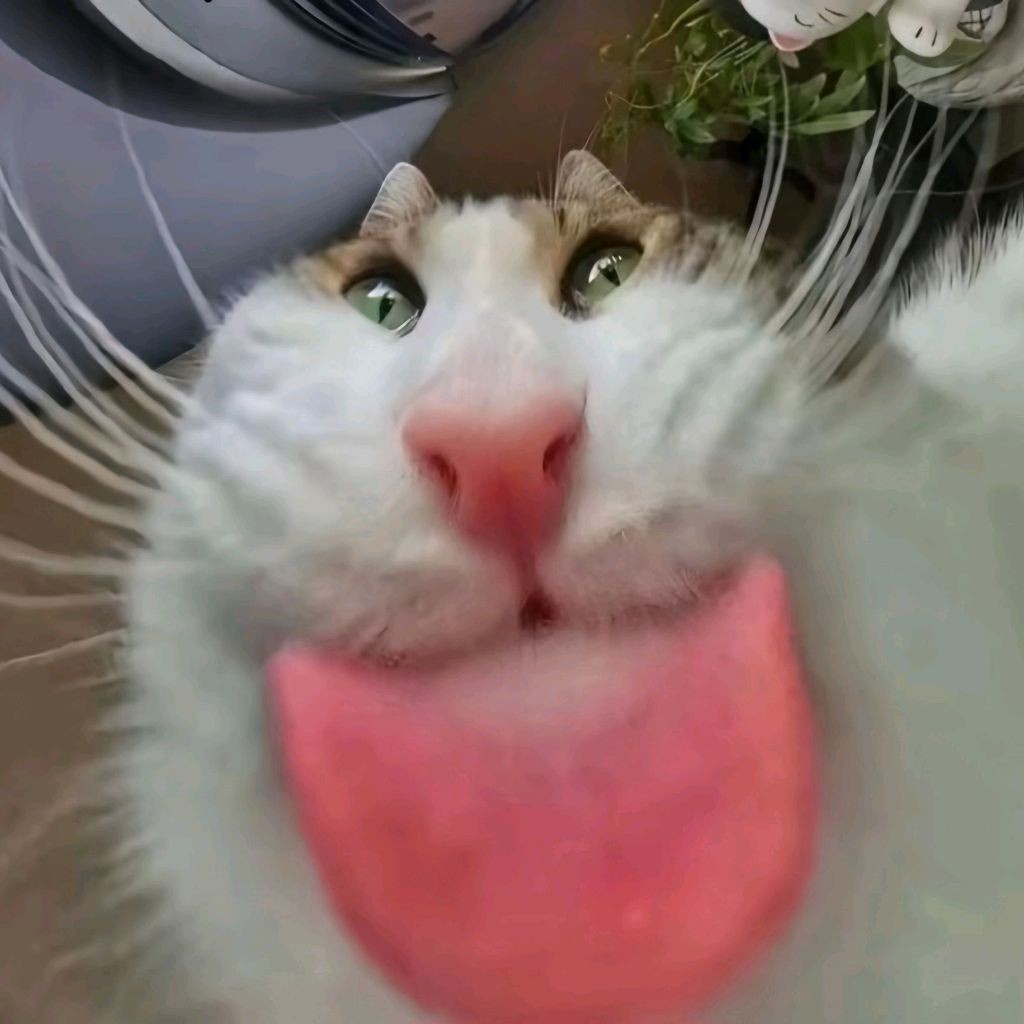 Сденддовщик 2