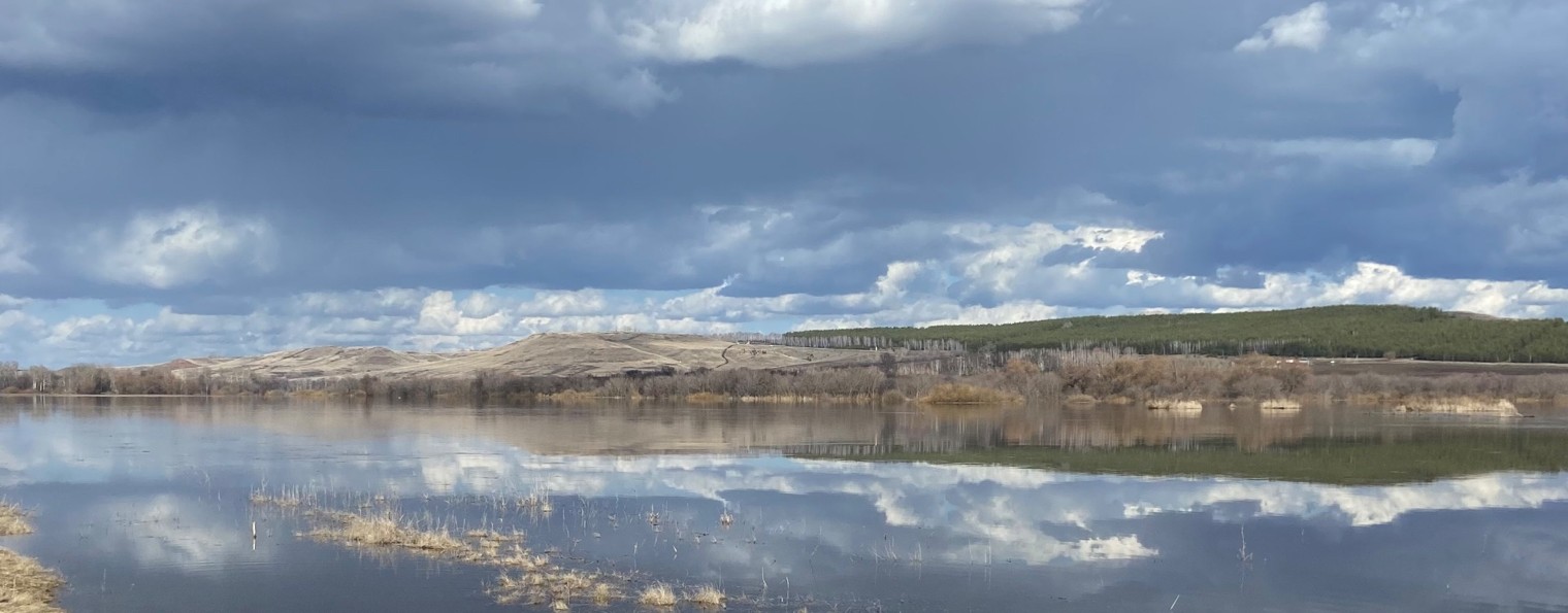 Гараев Фидан