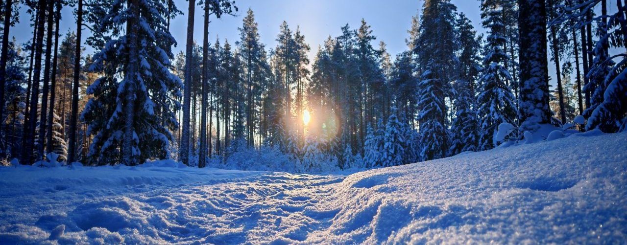 Гой - Йог и Путь Свободы