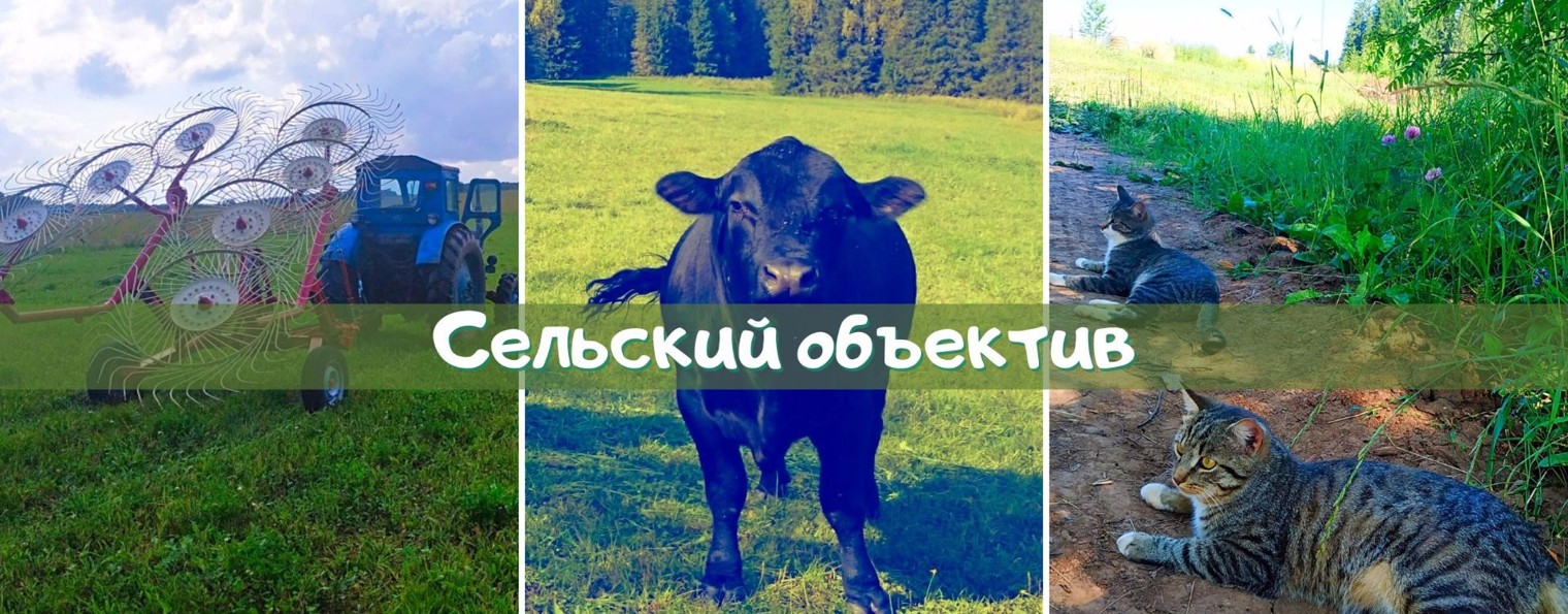 Сельский объектив