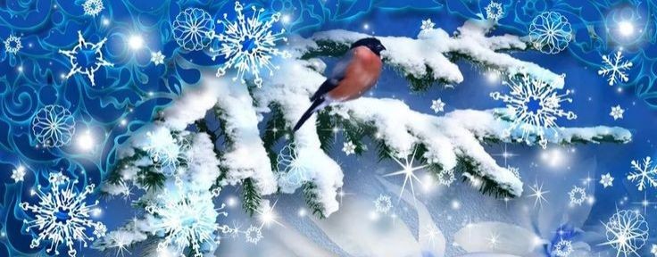 Светлана Скребнева