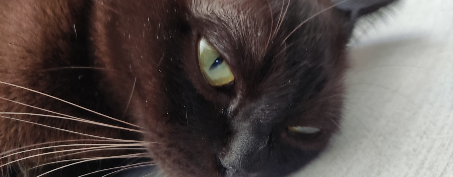 roblox это моя жизнь