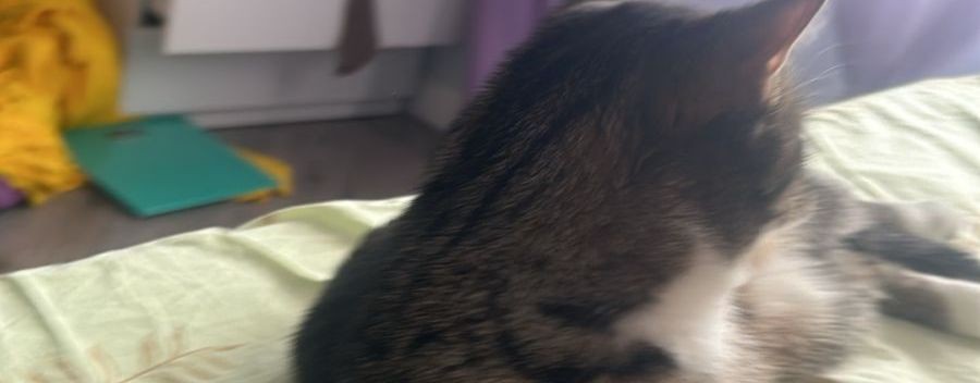 Природа и рыбалка.