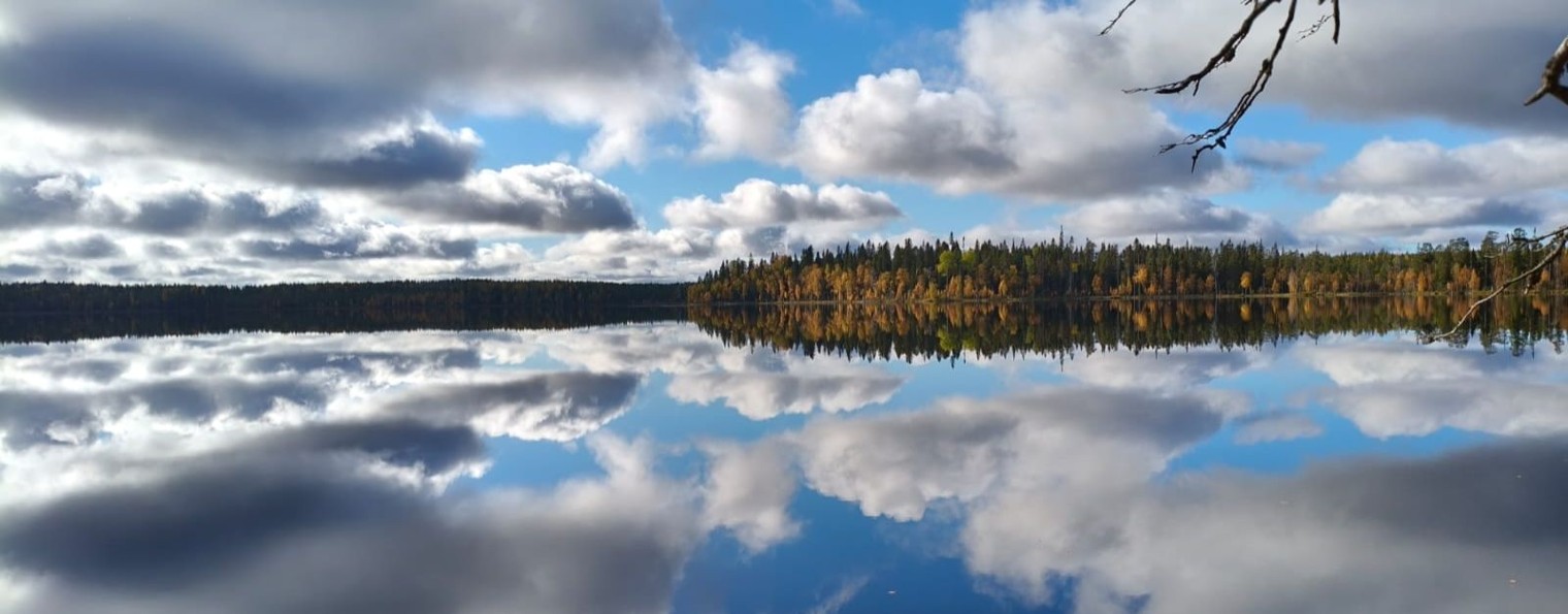 Лесные записки Василия.