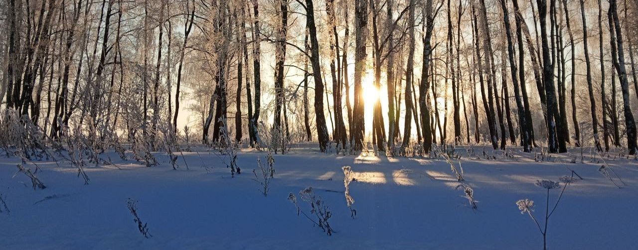 Сельская жизнь Технаря