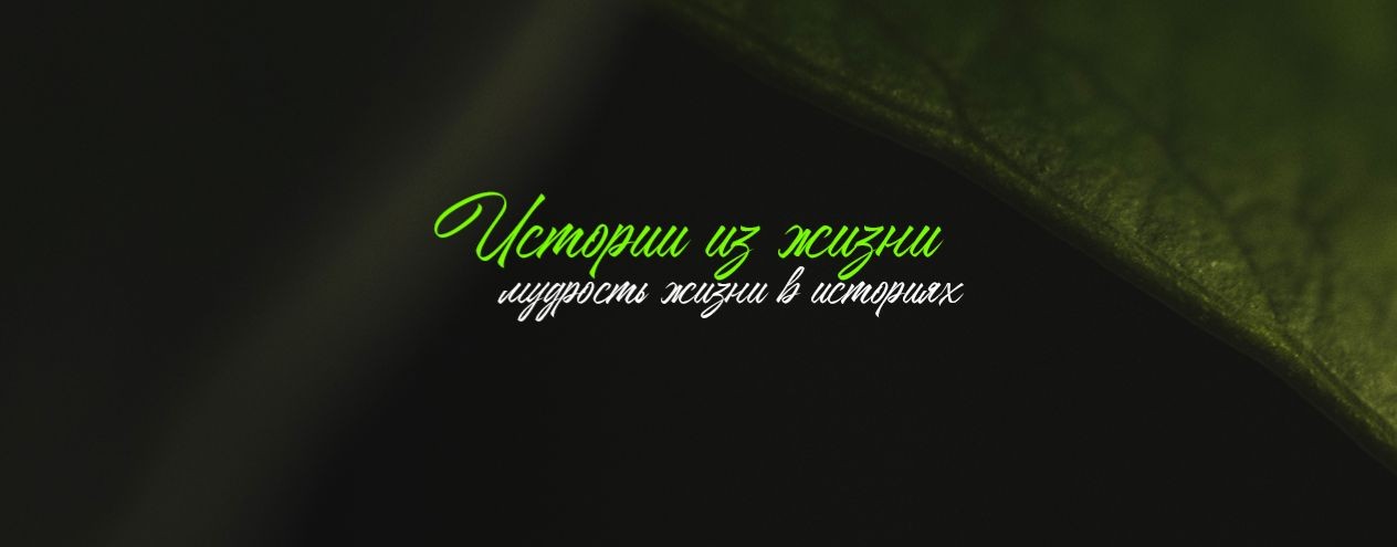 Истории Которые Тронули / Диана Евлаш