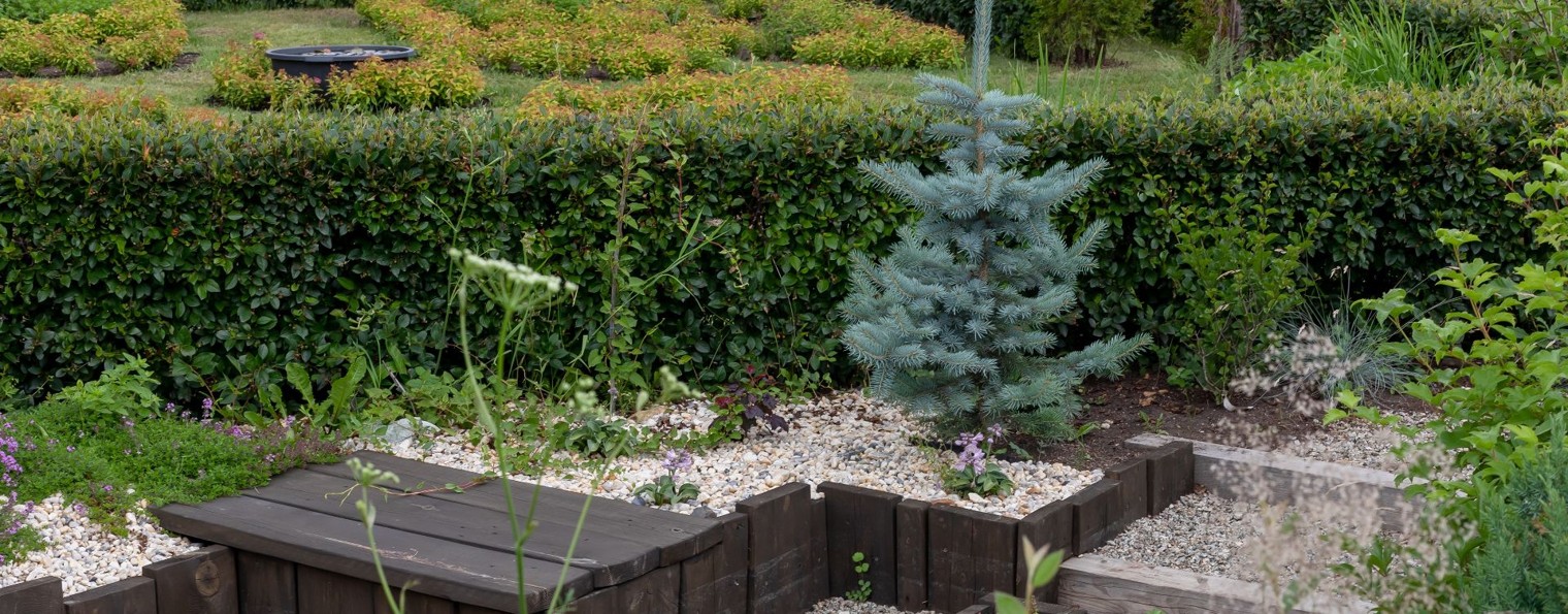 Терра Центр ландшафтного дизайна