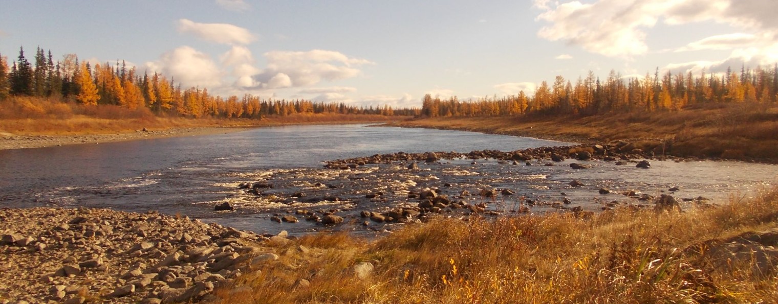 Сергей Токмаков
