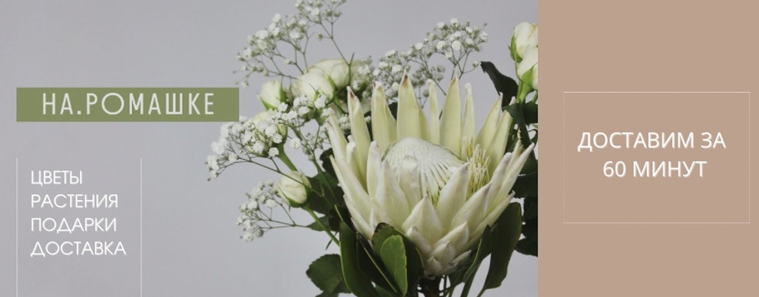 НА.РОМАШКЕ