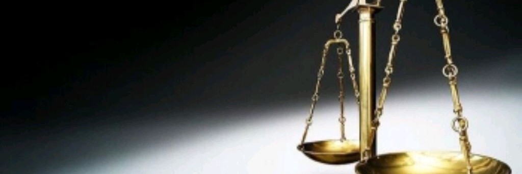 Говорят адвокаты