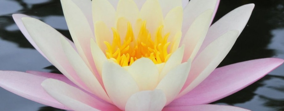 Путь к себе....