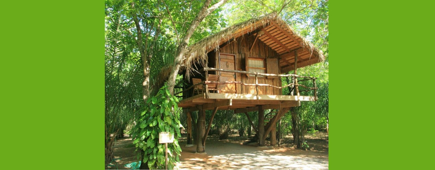 Музей-квартира "Бамбуковая хижина"