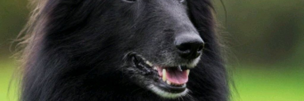 Анже🎮лика