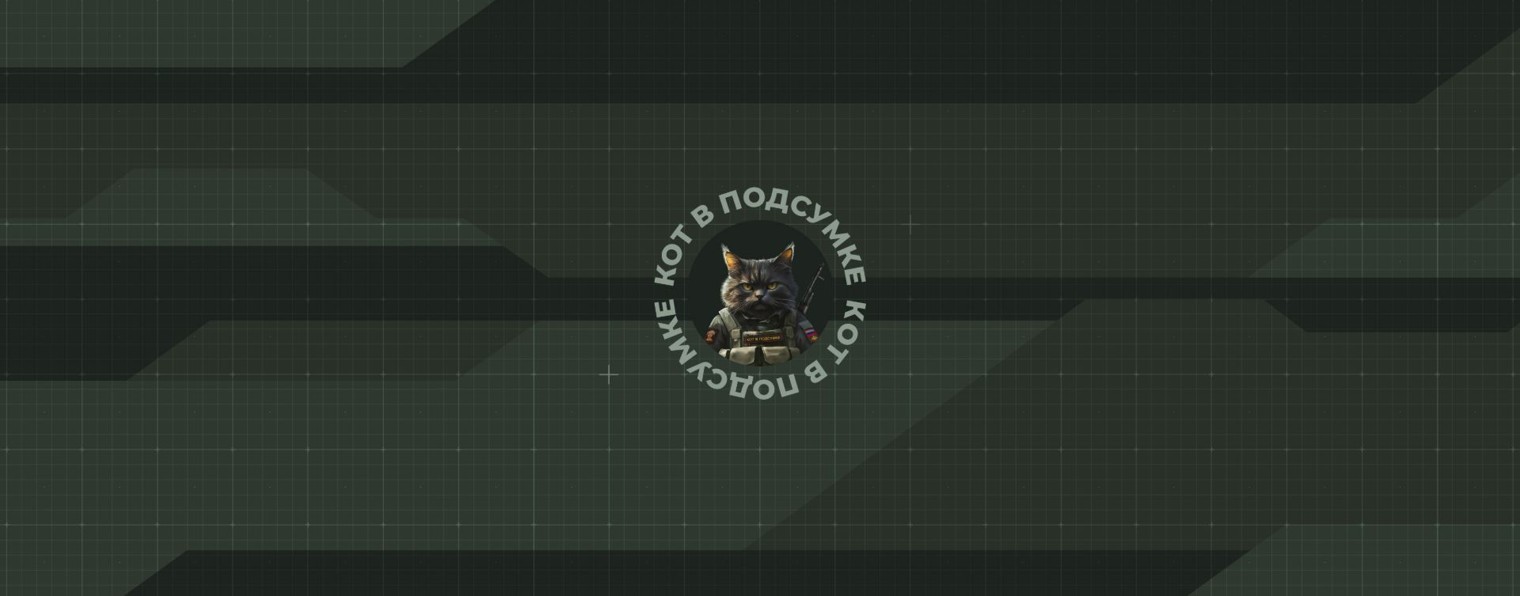 Кот в подсумке