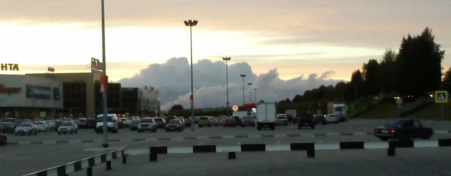 Олег Скрябин