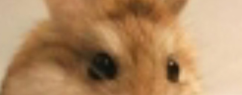 животный мир