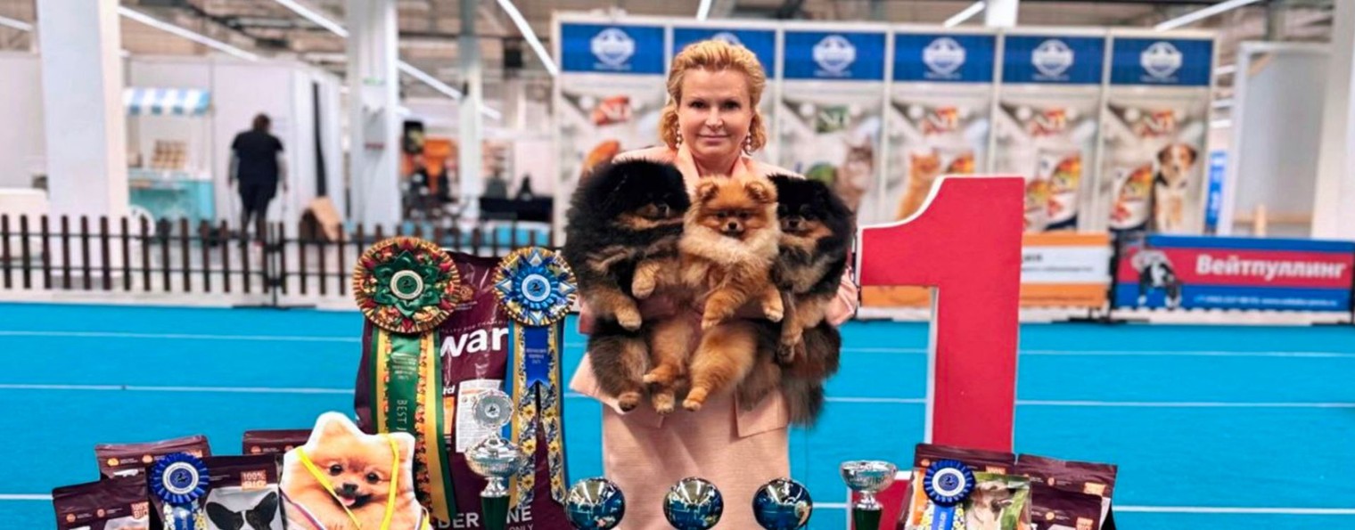 Питомник Stolnyi Line