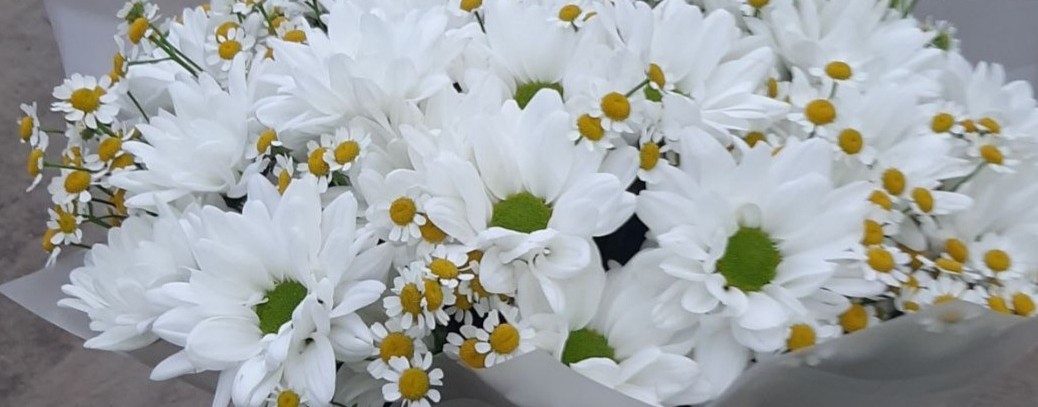 Магазин цветов в Молоково | Доставка цветов