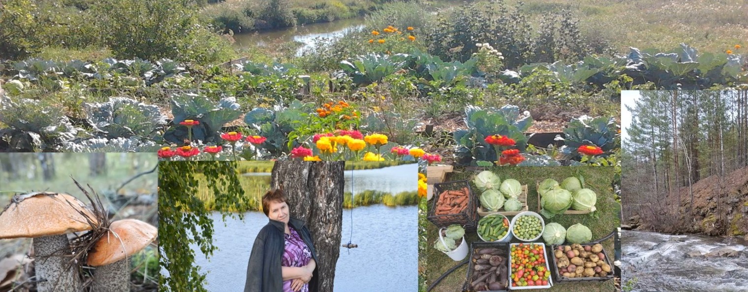 Надежда. По секрету всему свету