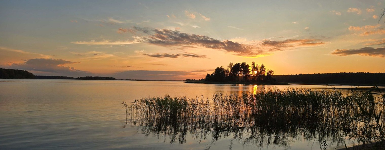 Александр Триска