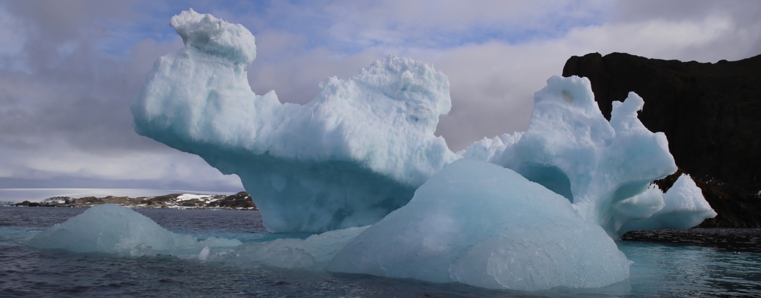 Арктика & Антарктика. Лучшие Дни Нашей Жизни