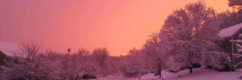 •°🤍~Danaya Aestetik Family~🦢•°