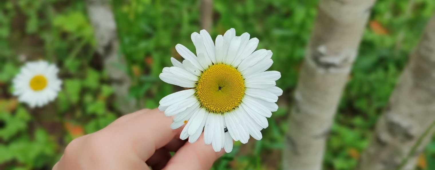 Жизнь босоногая