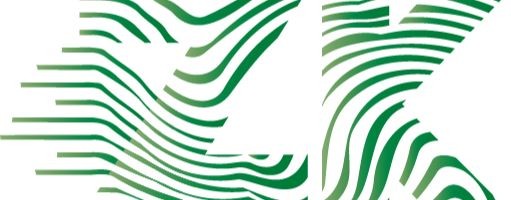 все о дизайне с Заремой Кокаревой