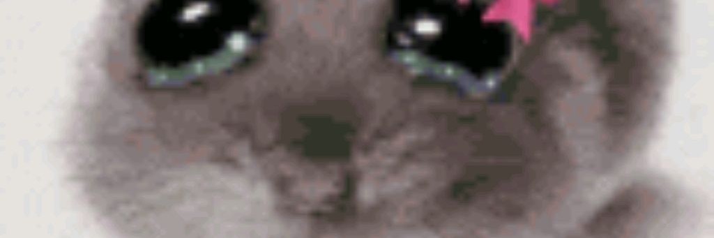 Абдурахмед_fox