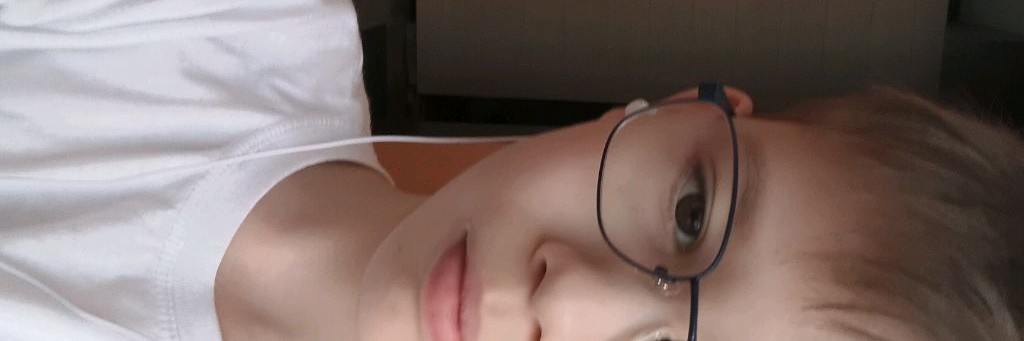 Аркадий Лайк