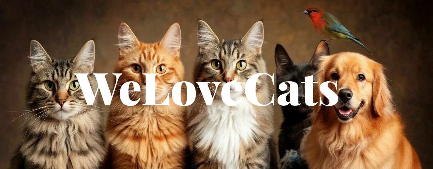 WeLoveCats
