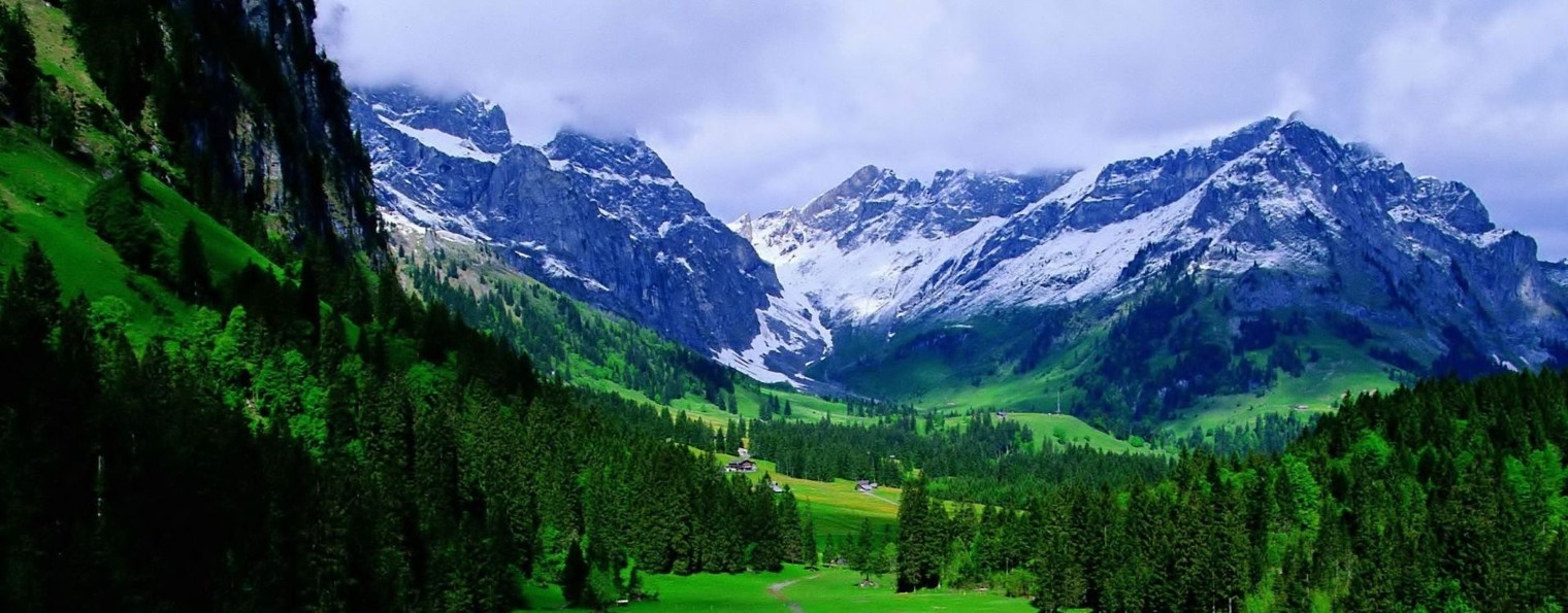 NIKISTAR HØBBIES (v7.0)