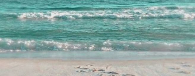 🫧🐚 ꧁₊ ⊹ⵌ.ᥫ᭡ᦔ𐔖rι h𐔖ⲙᥱ⊹‧₊੭ⵌ.꧂🐚🫧