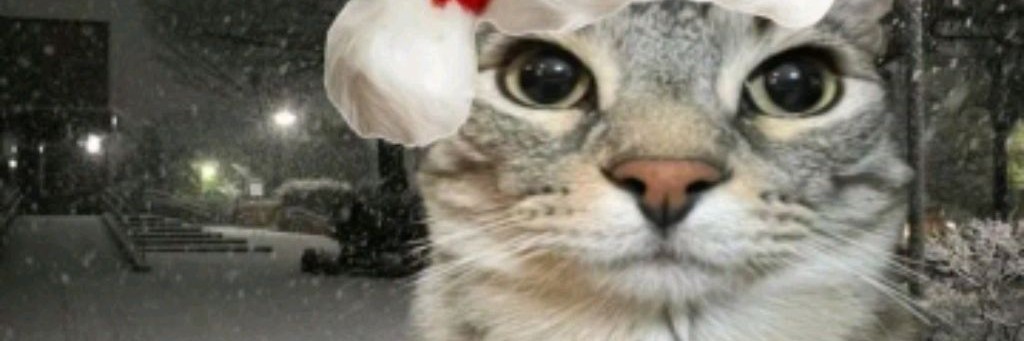 Кот Проблем