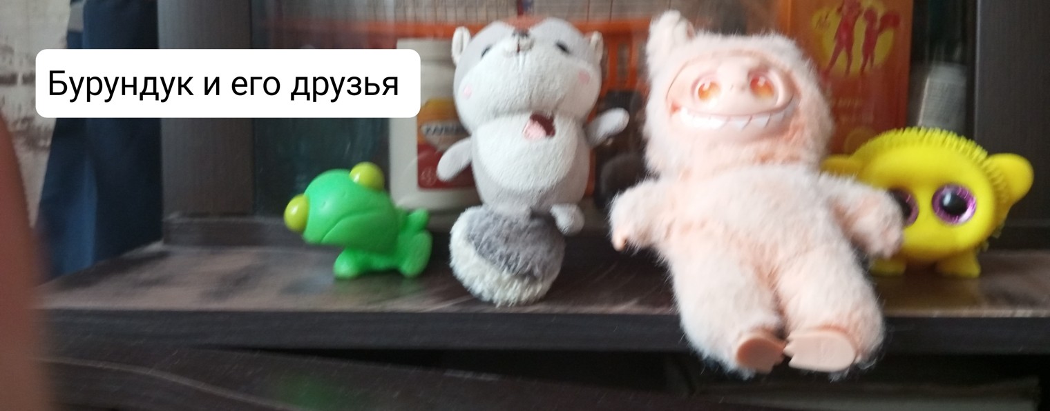Бурундук и его друзья