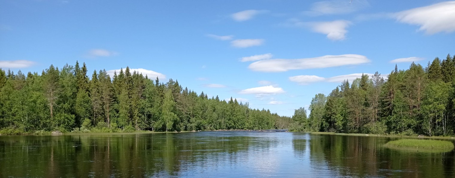 Делаю то, что люблю и могу!