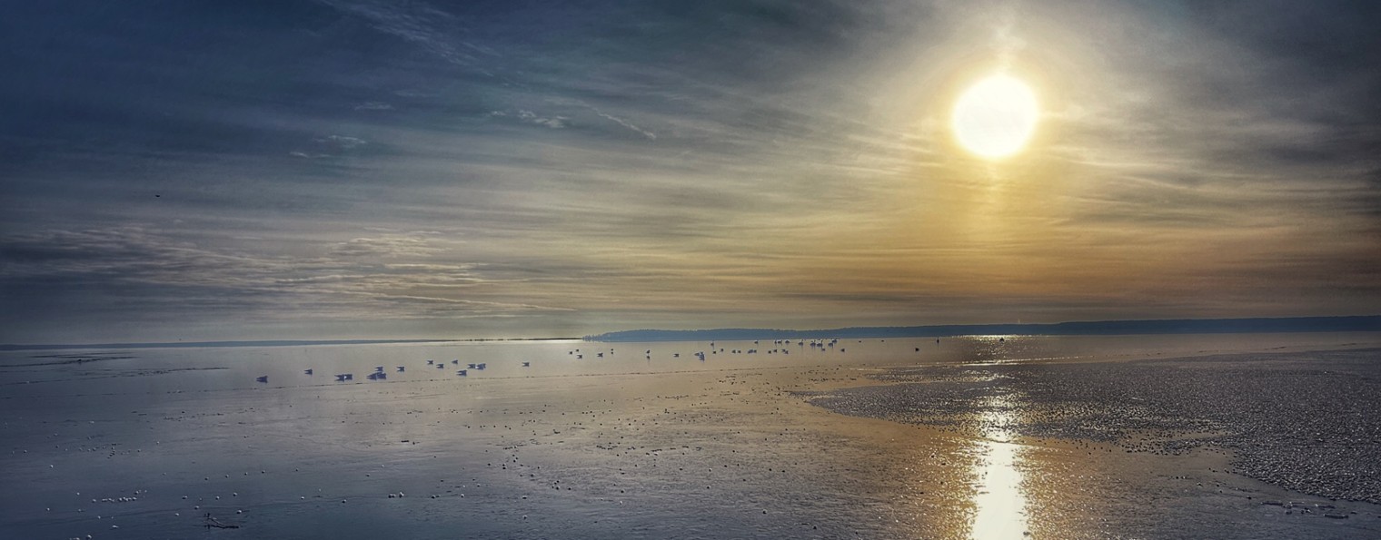 О жизни и не только