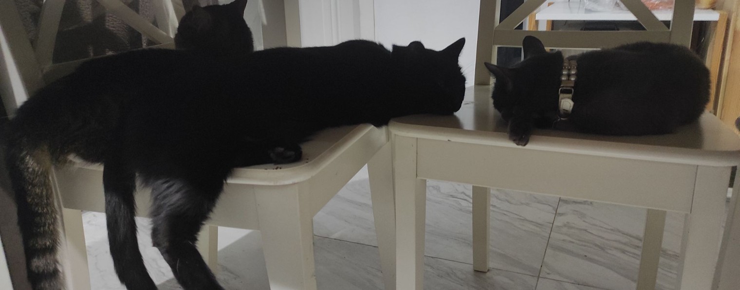 Будни Домохозяйки)