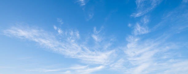 Мария Прокофьева