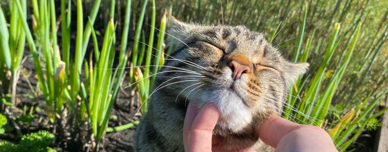 Логопед. Виктория Викторовна/ учиться легко.