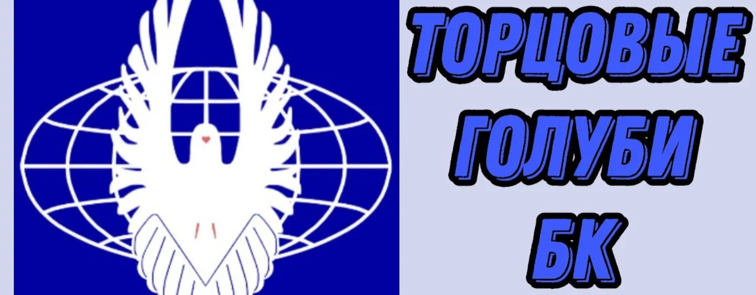 Торцовые голуби БК