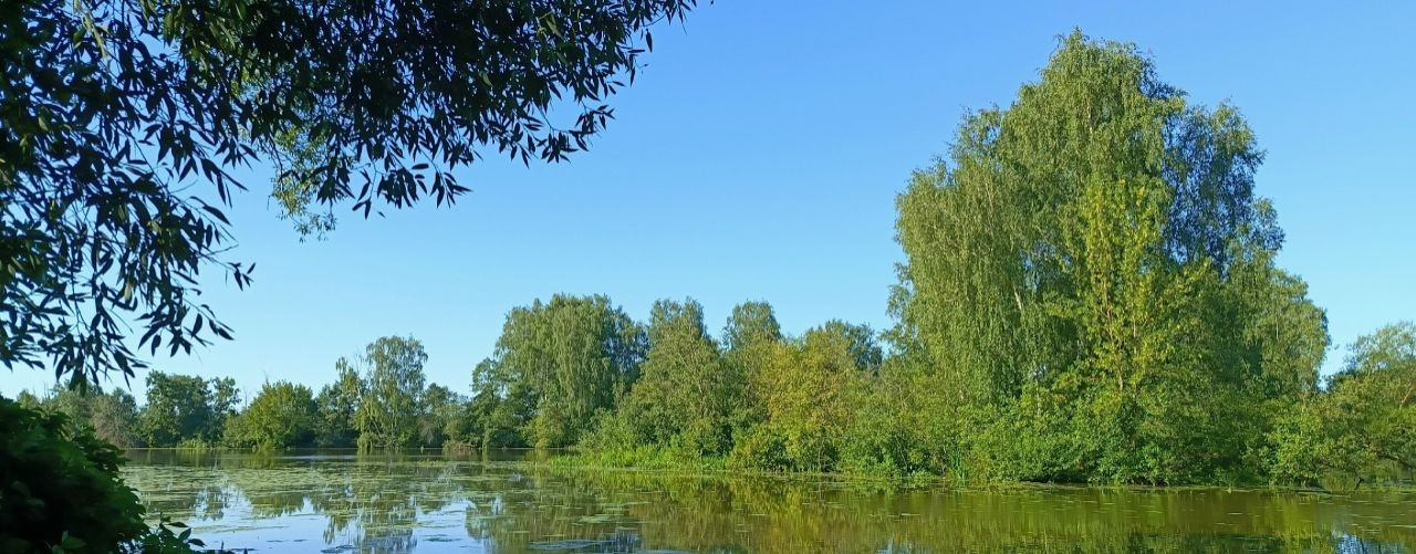 Сосквач на рыбалке!