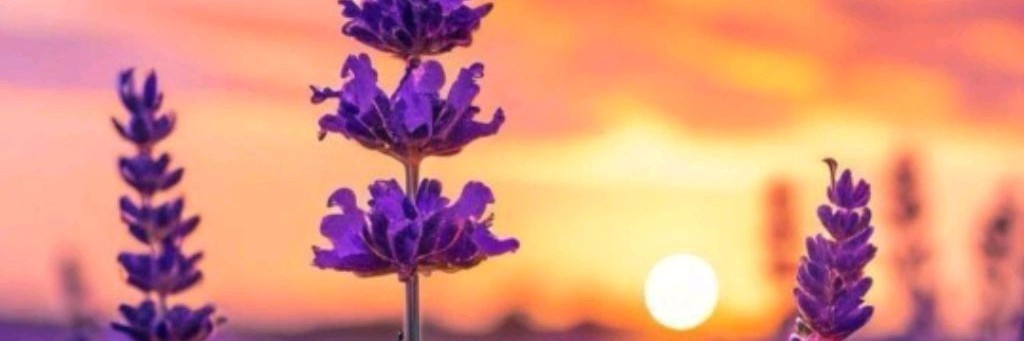 Цветочная Муза